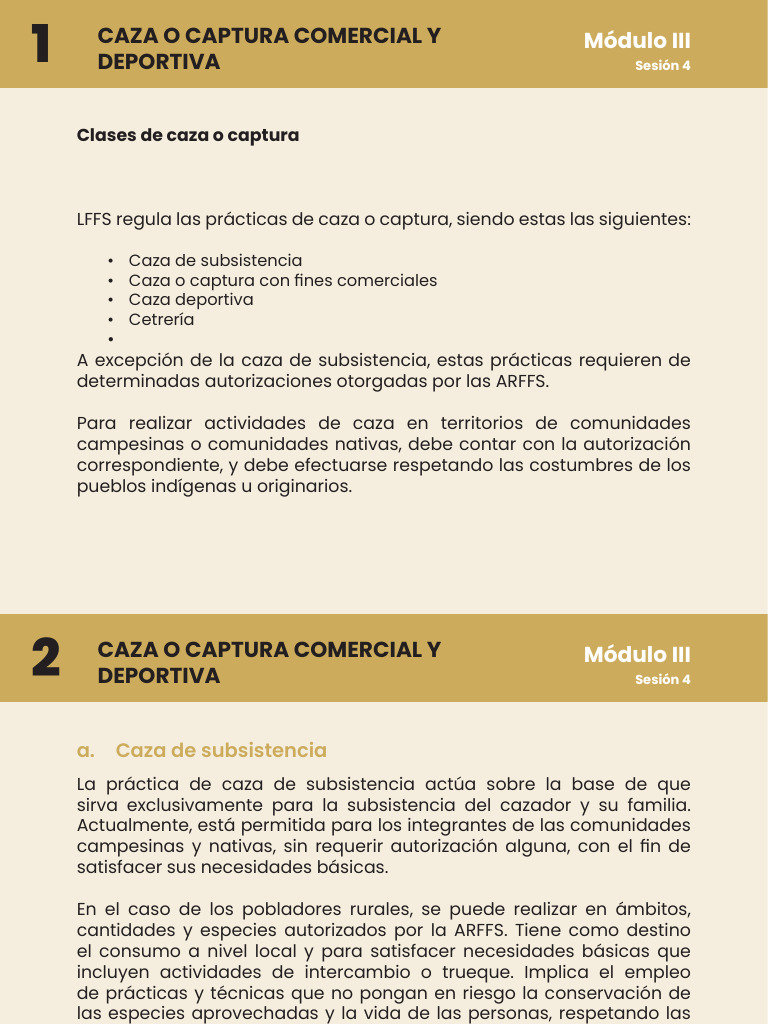Módulo3_Sesión12 | PDF | Caza | Cetrería