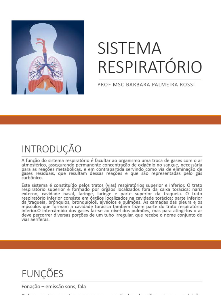 Anatomia Do Sistema Respiratorio Pdf Pulmão Laringe