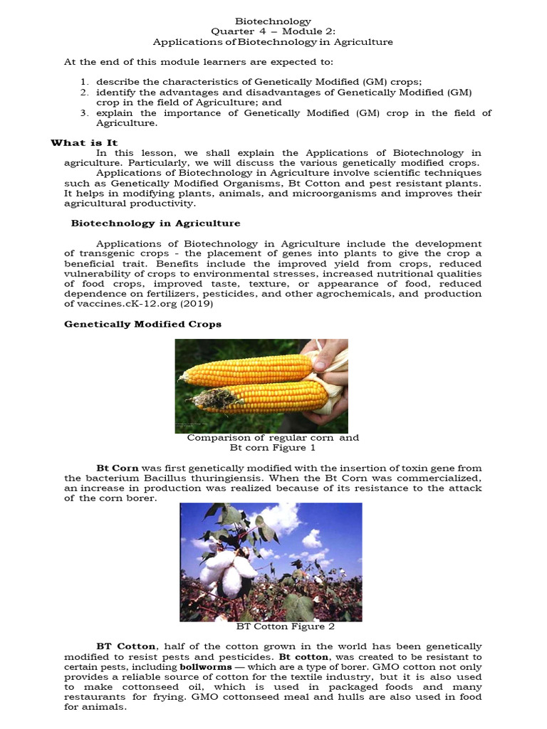 GM Crops: Benefits and Risks in Agriculture | PDF | Genetically ...