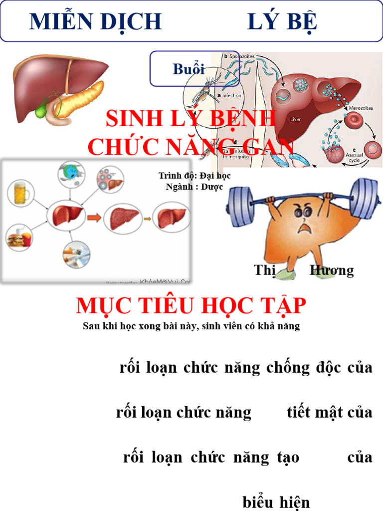 Buoi8 Sinh Ly Benh Chuc Nang Gan | PDF