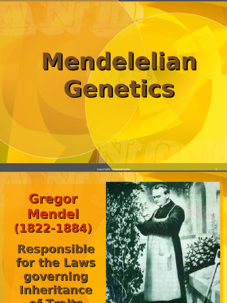 Mendelian Genetics | PDF | Dominance (Genetics) | Genotype
