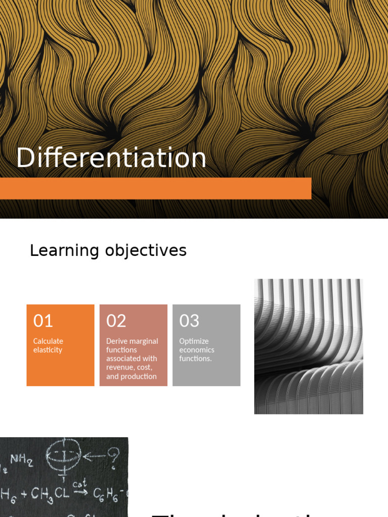 Chapter 4 Differentiation | PDF | Elasticity (Economics) | Demand