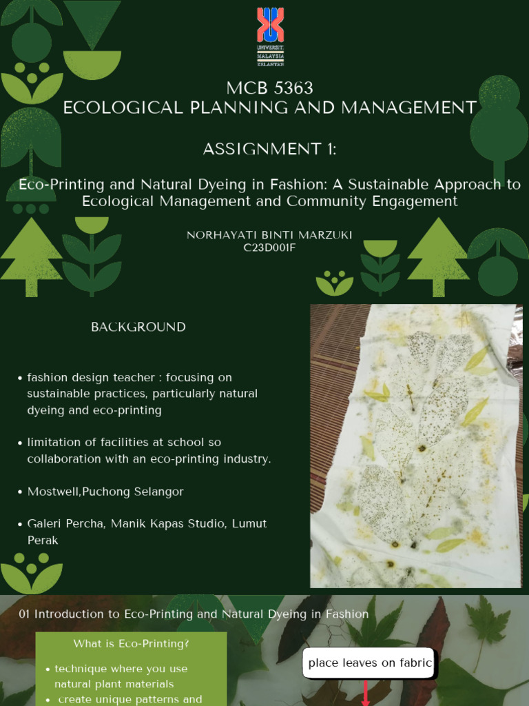 Assignment 1 NORHAYATI BINTI MARZUKI (C23D001F) | PDF | Textiles | Dyeing