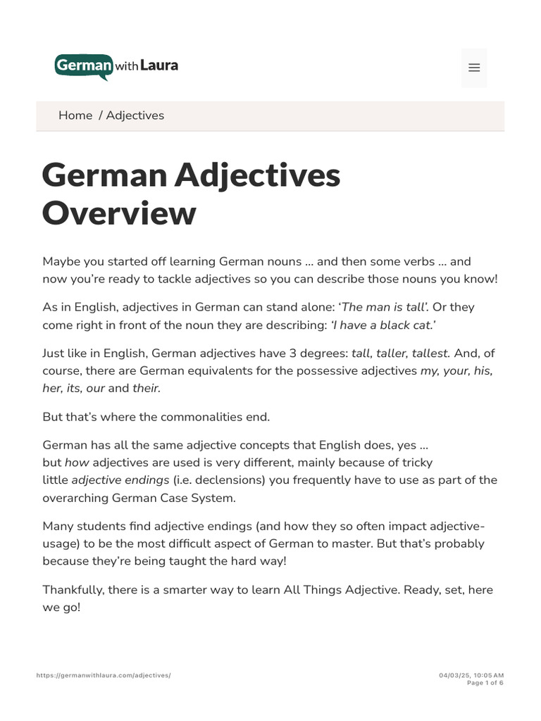 Mastering German Adjective Endings | PDF | Adjective | Noun