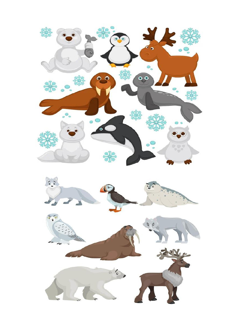 Animales Polares | PDF