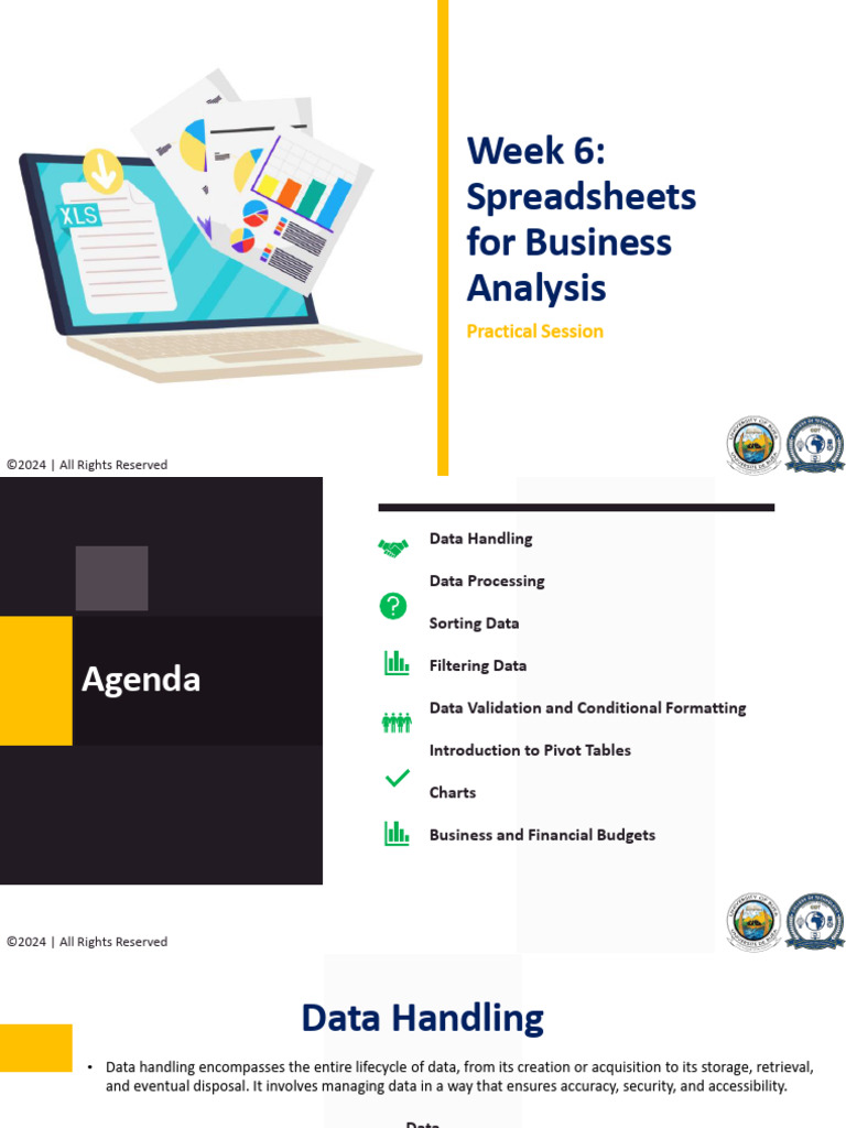 Week 6 Spreadsheet for Business Analysis - Practical Session (1) | PDF | Computing