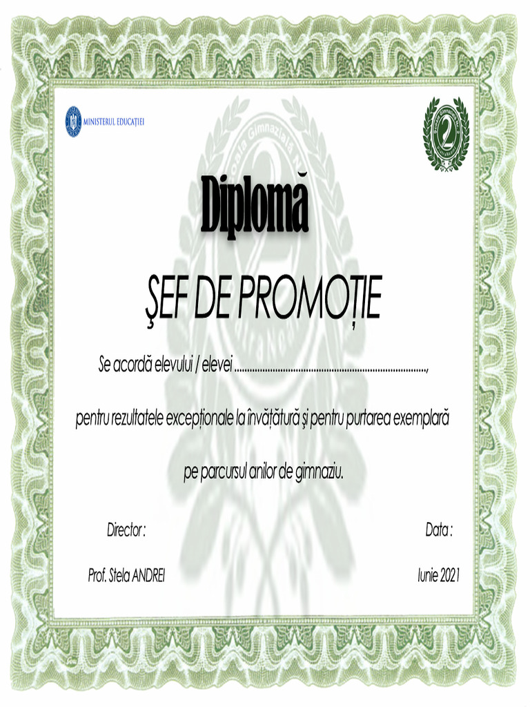 Sef Promotie Diploma | PDF