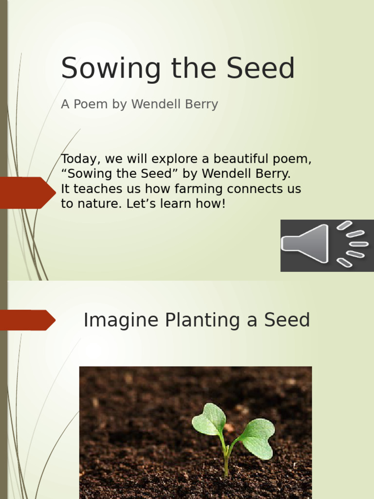 Sowing The Seed Presentation Class 6th | PDF