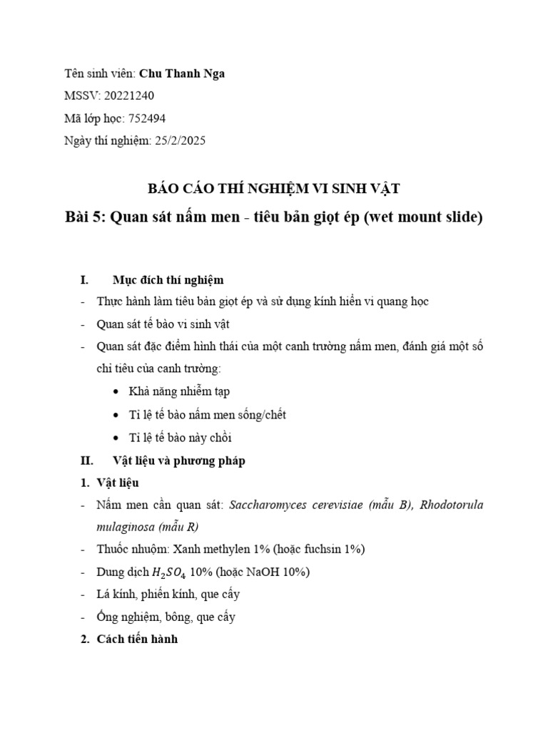 Báo Cáo Thí Nghiệm Vsv Bài 5 | PDF