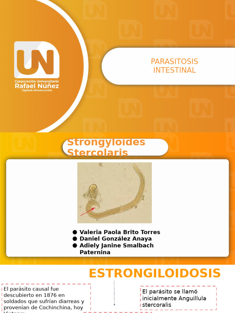Parasitosis Intestinal | PDF | Gastroenterología | Medicina CLINICA