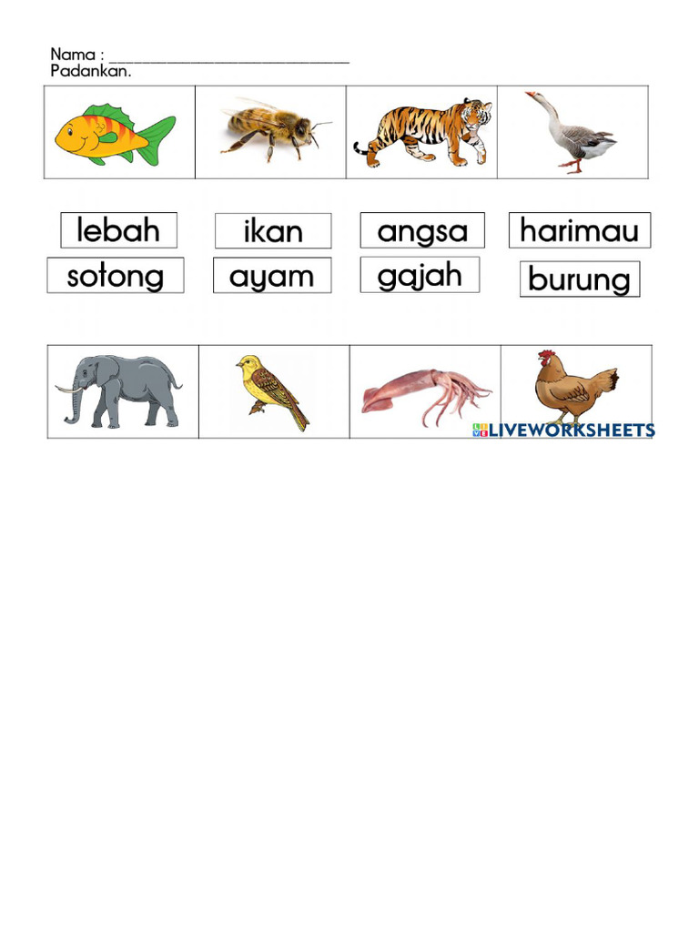 Mari Mengenal Haiwan 2 | PDF