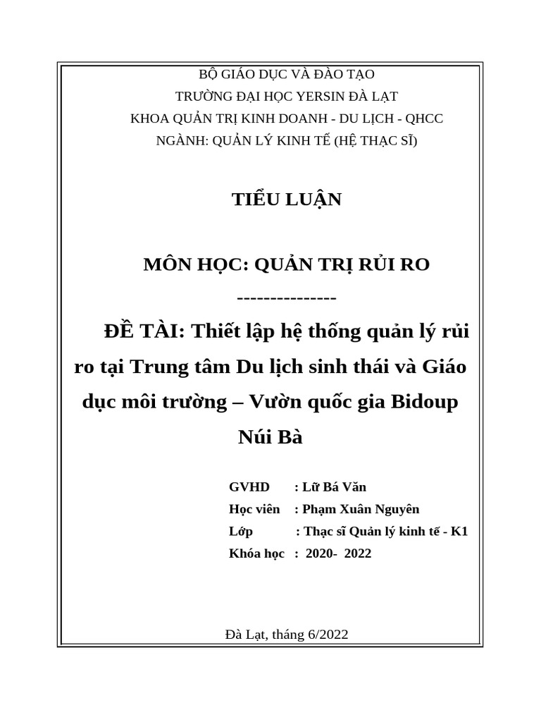 Pham Xuan Nguyen - TieuLuanQuanTriRuiRo | PDF