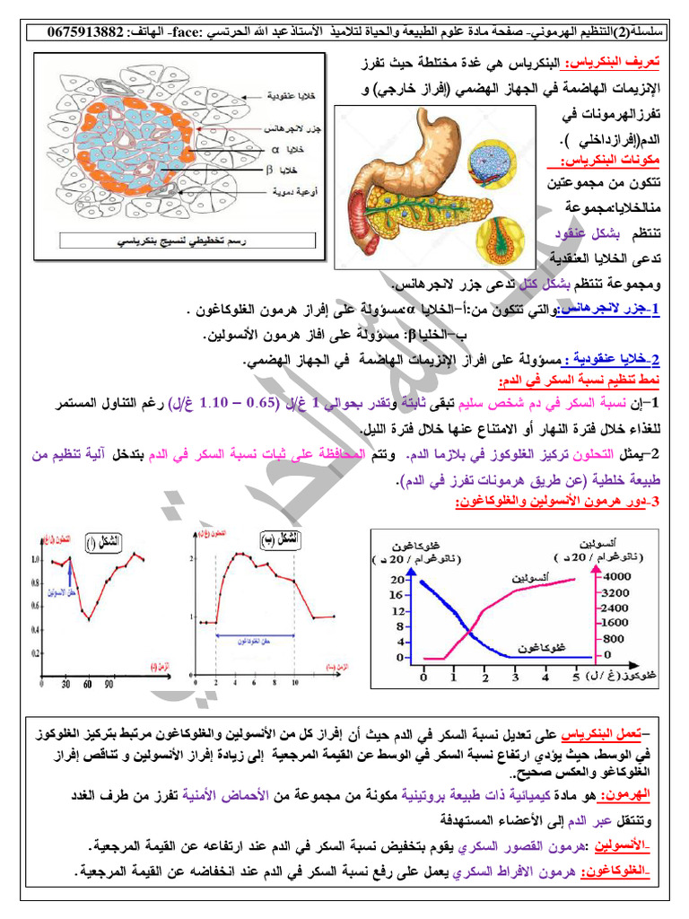 Dzexams Docs 2as 906534 | PDF