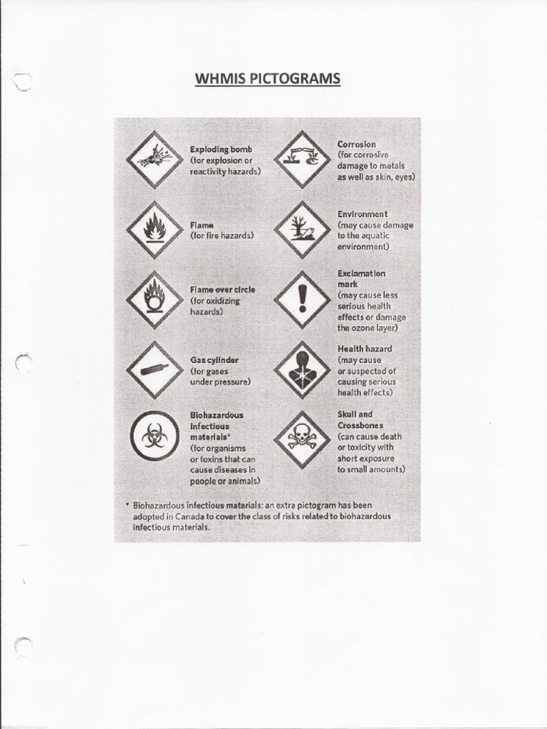 Whmis Pictograms Handout Pdf