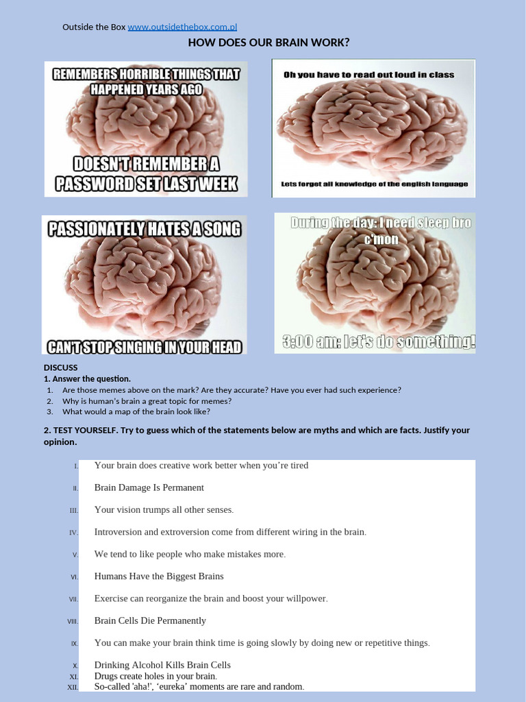 How Does Our Brain Work | PDF | Nervous System | Central Nervous System