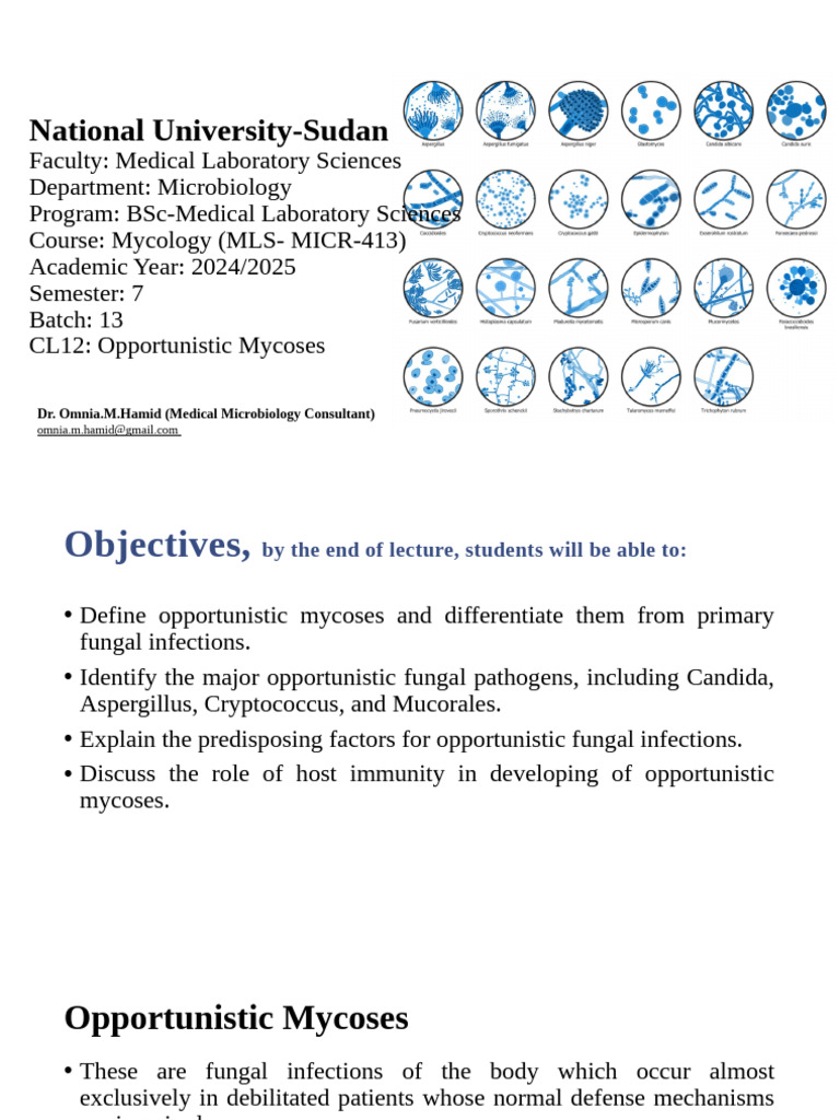 Opportunistic Mycoses Overview | PDF | Aspergillus | Infection