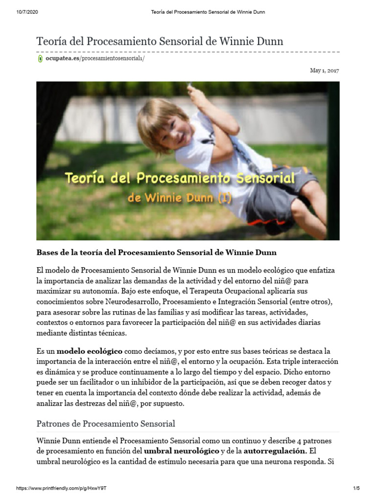 Teoría Del Procesamiento Sensorial de Winnie Dunn | PDF | Sentidos ...