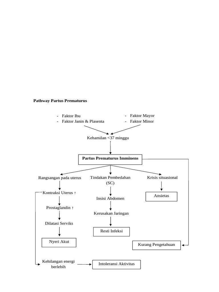 Pathway Partus Prematur | PDF