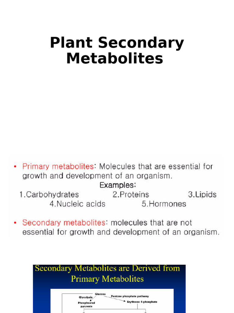 Plant Secondary Metabolites Overview | PDF | Alkaloid | Flavonoid
