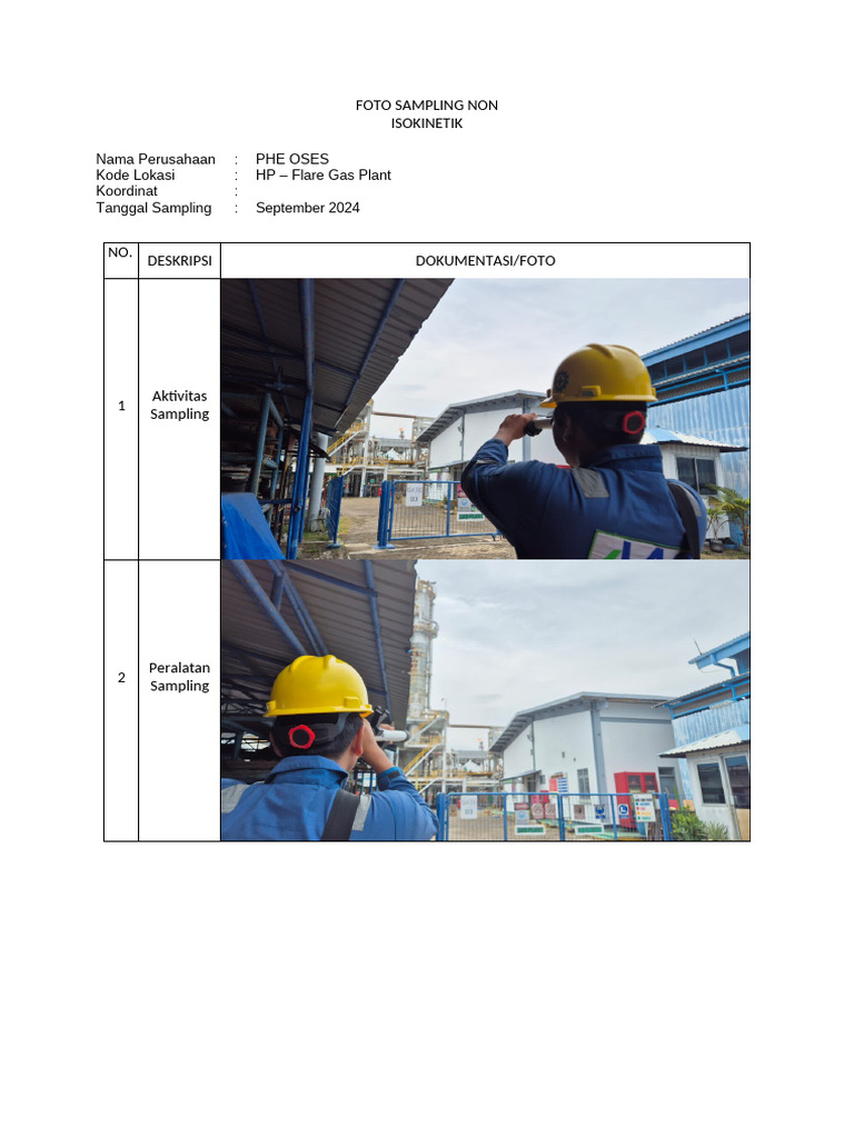 HP - Flare Gas Plant | PDF