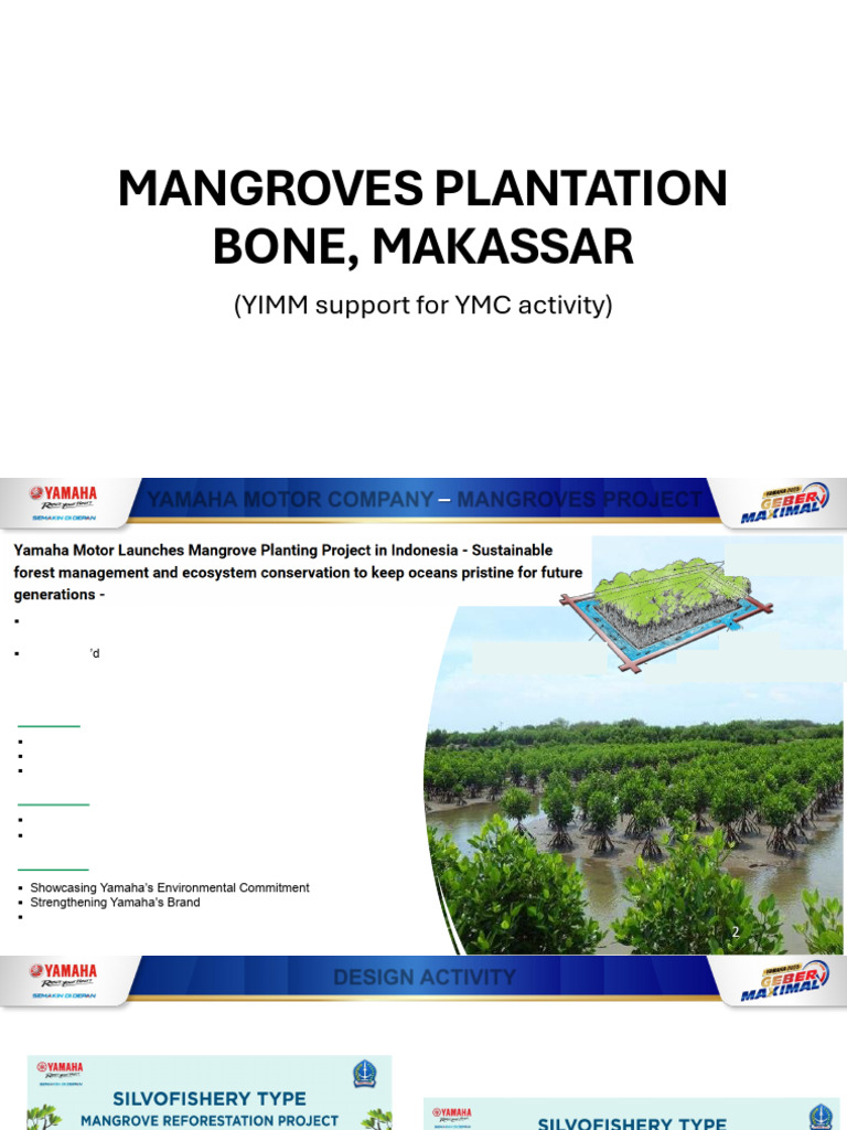 Mangroves Planting Tree Bone | PDF