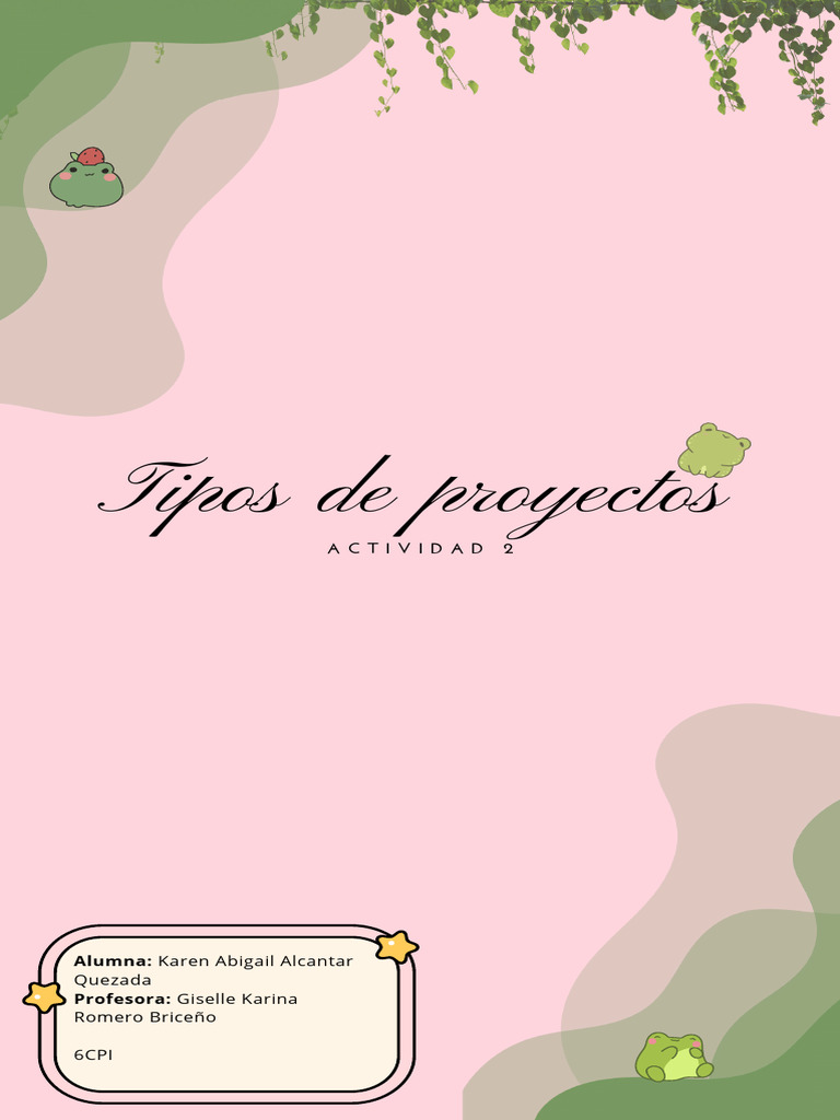 Tipos de Proyectos | PDF