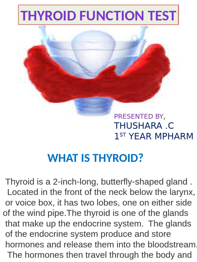 Thyroid 151209103847 Lva1 App6891 | PDF | Thyroid | Thyroid Stimulating Hormone