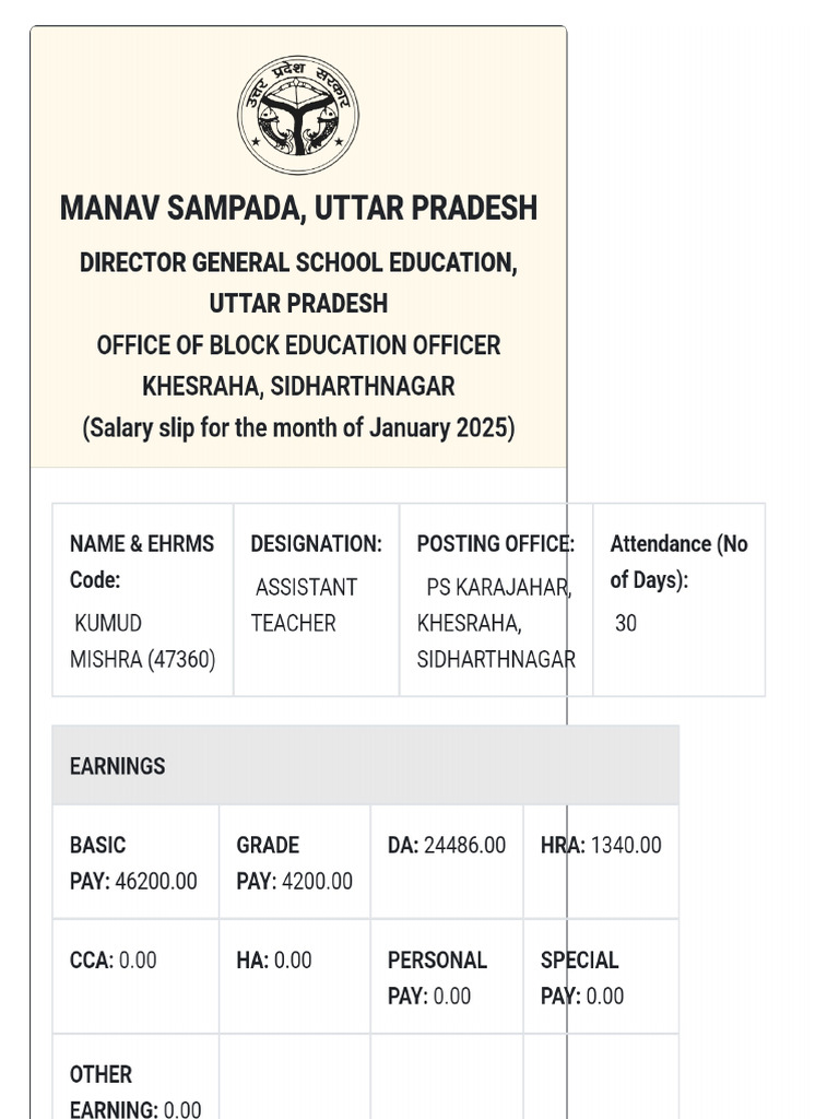 Salary Slip For The Month of January 2025 | PDF