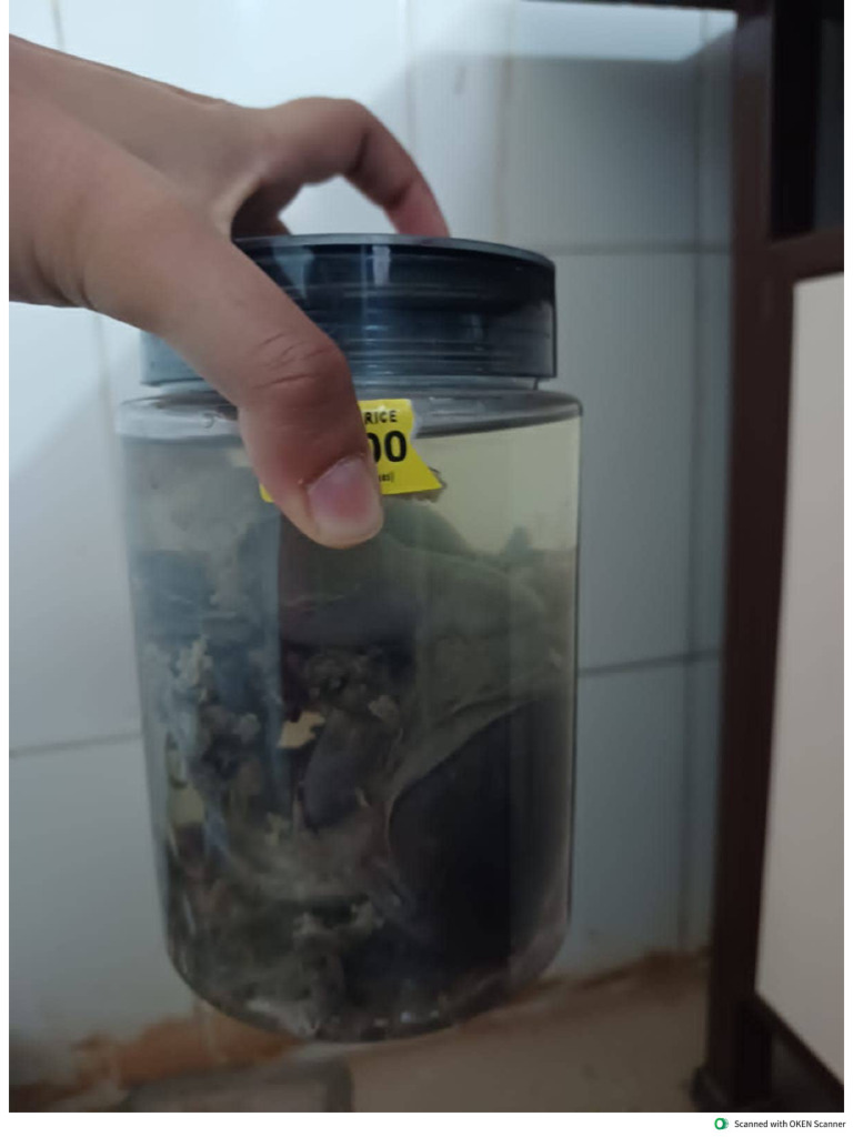 Surgery Specimens Prefinal | PDF