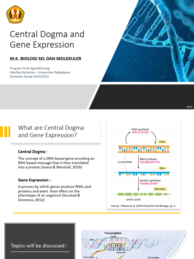 Mini Lecture_Central Dogma and Gene Expression | PDF | Regulation Of ...