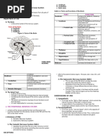 Science 10 Q3 Module 3 | PDF | Neuron | Central Nervous System