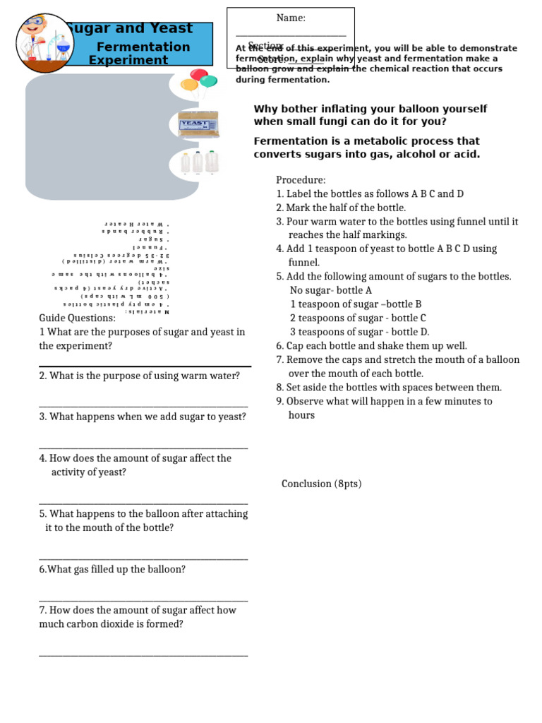 Sugar and Yeast Fermentation Experiment | PDF | Yeast | Fermentation