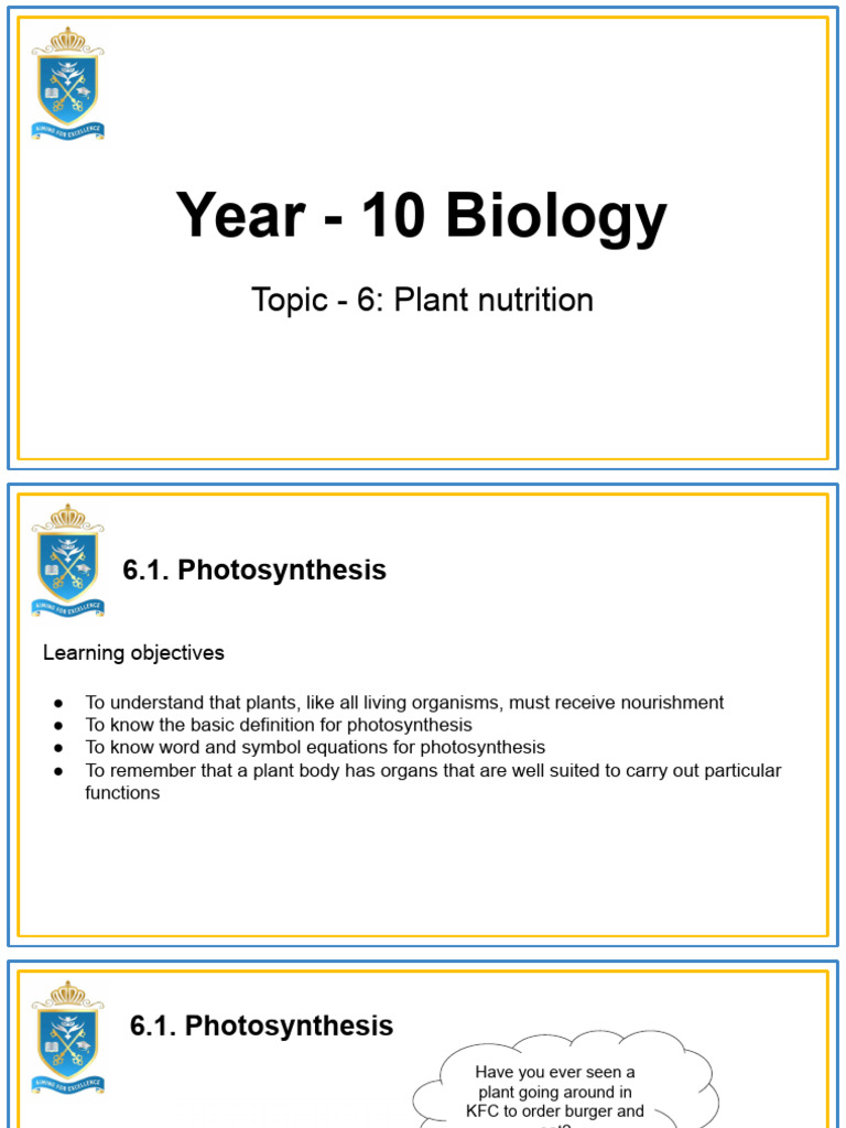 Understanding Plant Nutrition: Photosynthesis | PDF | Photosynthesis ...