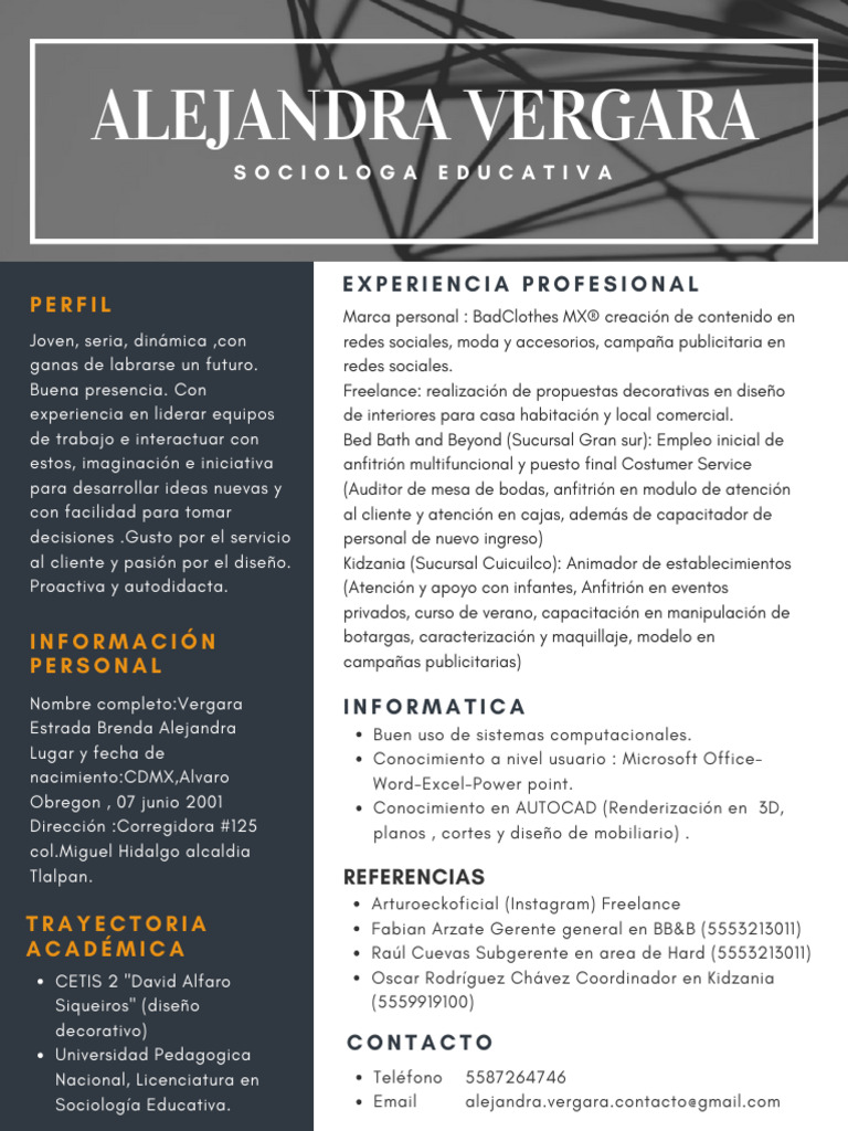 Curriculum Vitae Vergara Estrada Alejandra Correjido | PDF | Informática