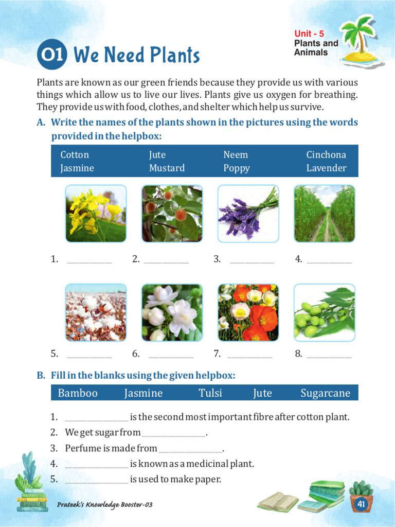 Plants and Animals Knowledge Guide | PDF | Plants | Foods