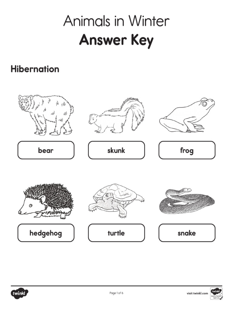 Answer Key Animals in Winter Activity Booklet For K-2nd Grade | PDF