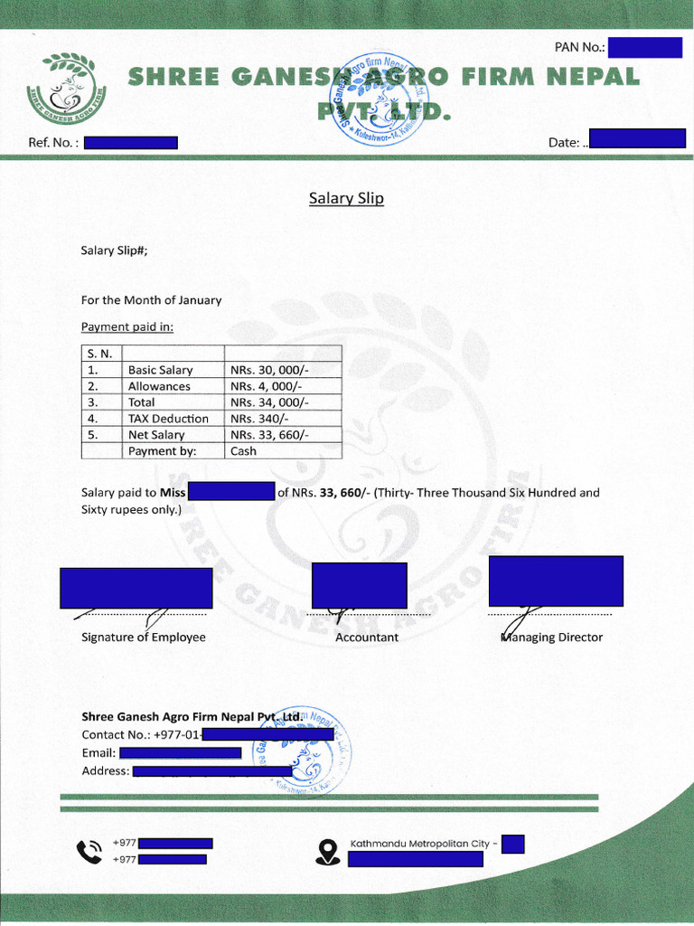 Salary Pay Slip Sample | PDF