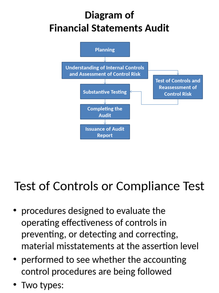 Financial Statement Audit Process Guide | PDF | Audit | Financial Audit