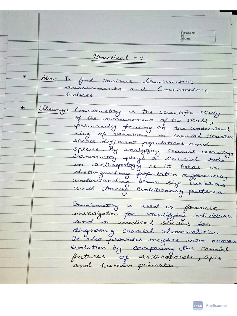 Murry Sir Prac 1 | PDF