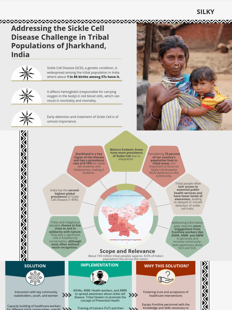 Sickle Cell PPT by SILKY | PDF | Community | Capacity Building