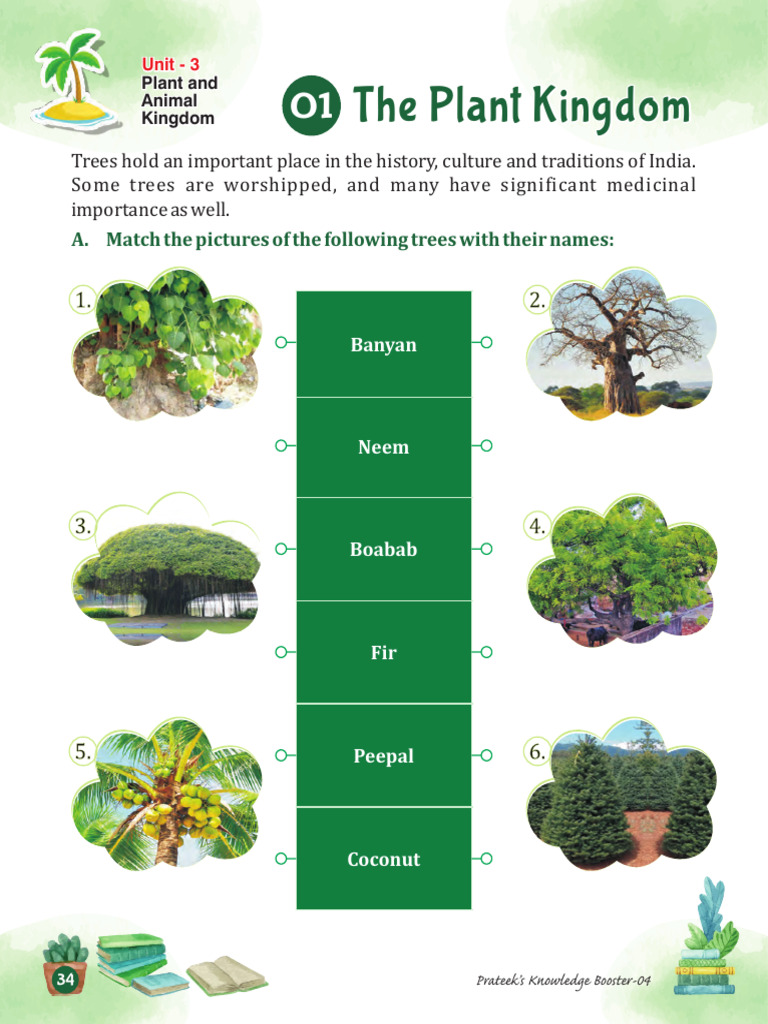Trees and Plants: Knowledge Booster Guide | PDF | Trees | Mammals
