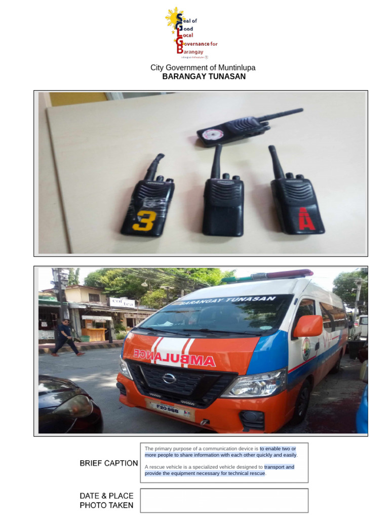 SGLGB TEMPLATE - Photo Documentation (DRR) | PDF