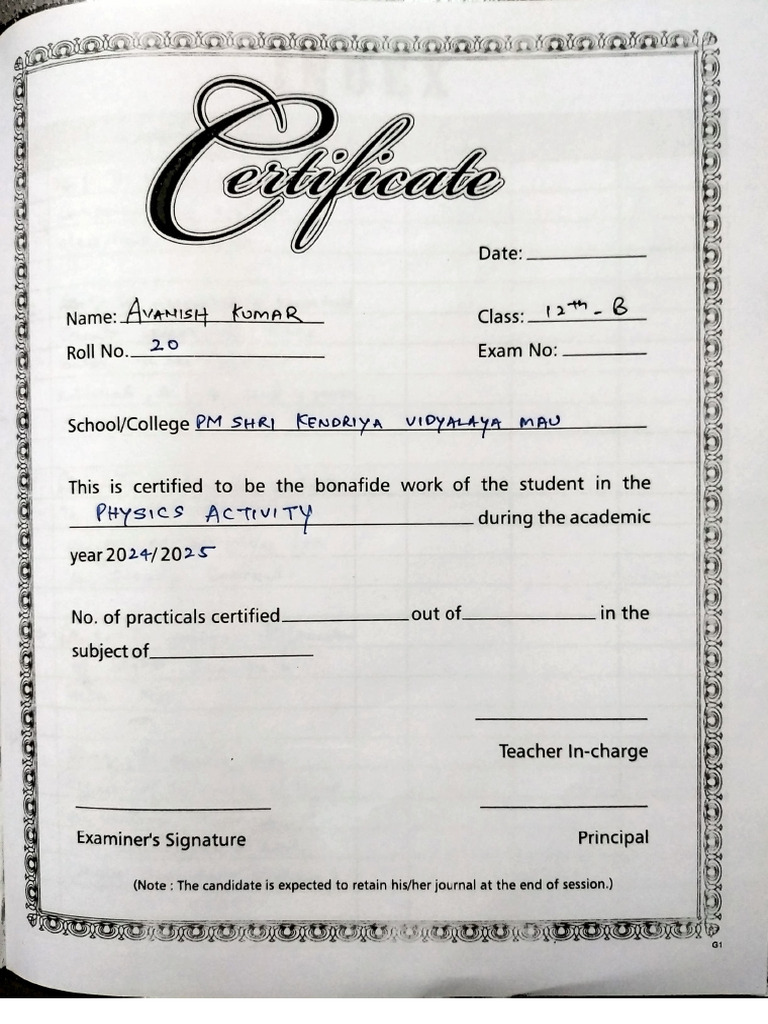 Physics Activity - Avanish Kumar | PDF