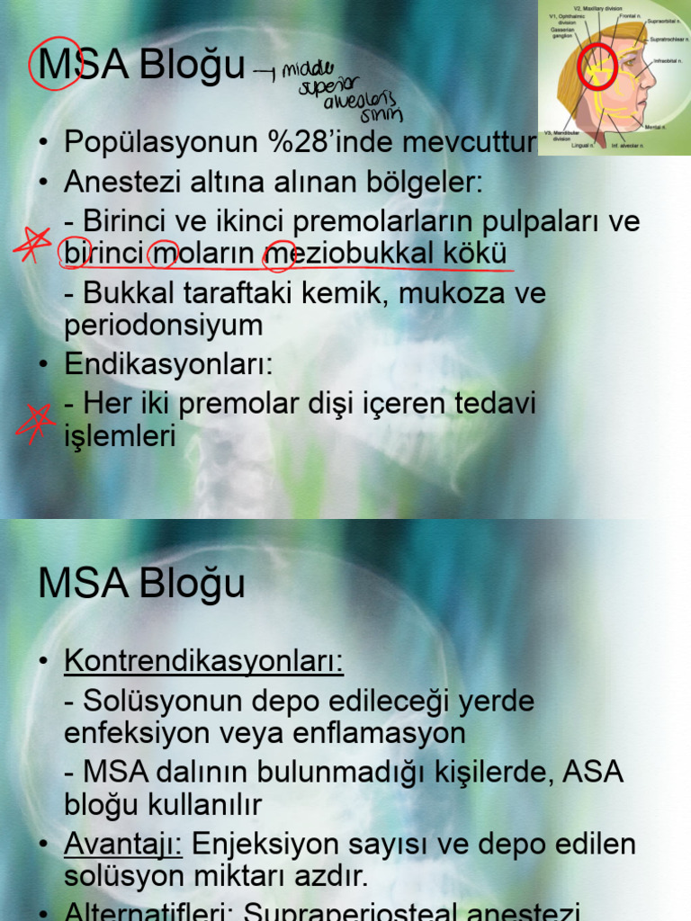 7) Hafta ASA ve MSA | PDF