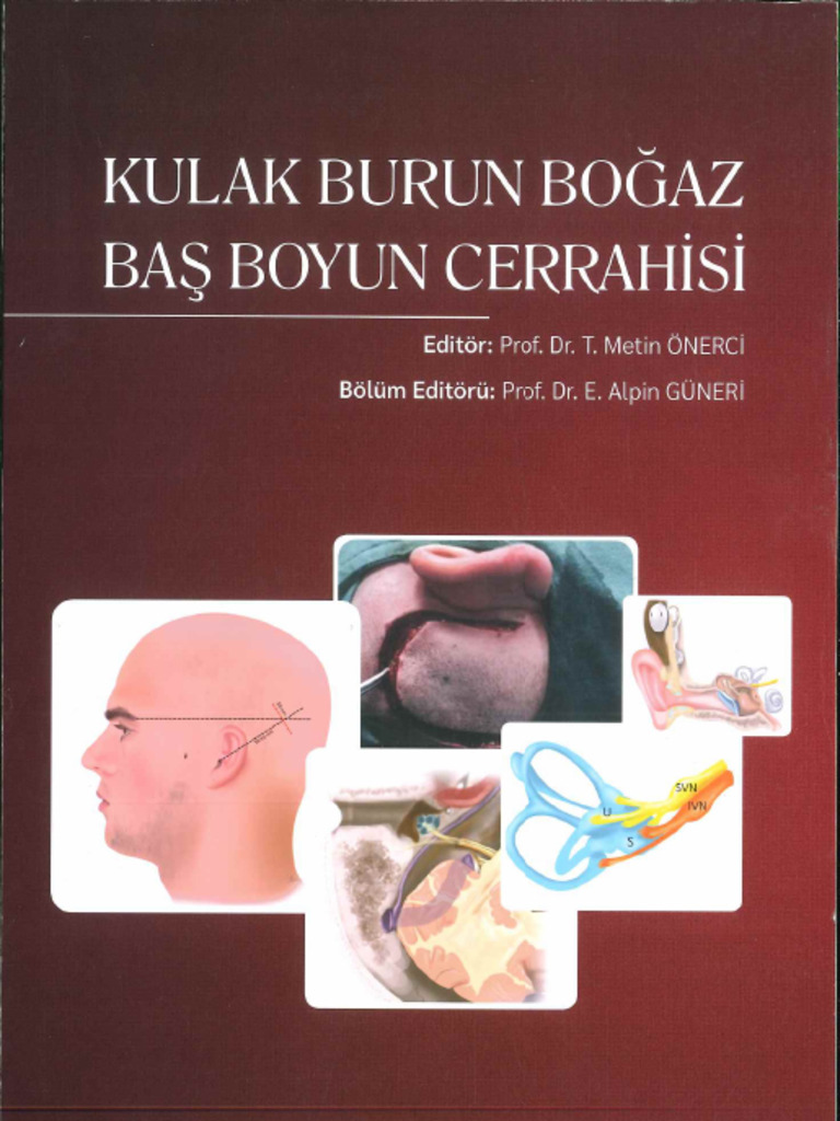 KBB Baş Boyun Cerrahi̇si̇ 2 | PDF