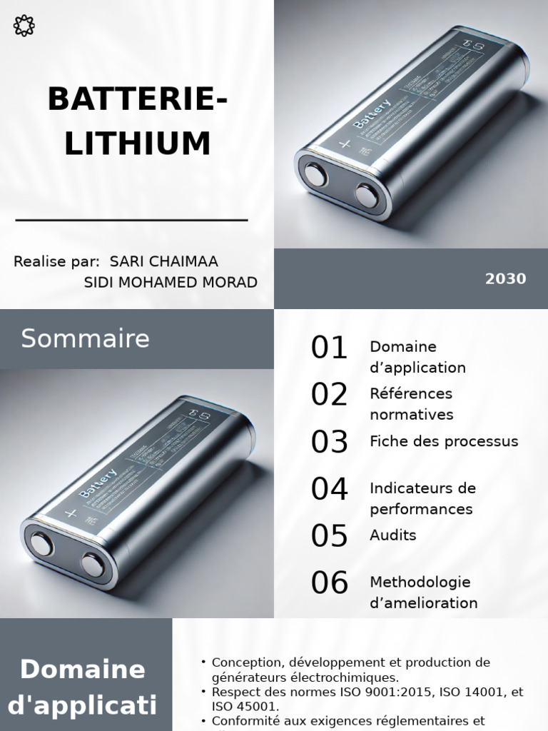 Optimisation des Batteries Lithium 2030 | PDF
