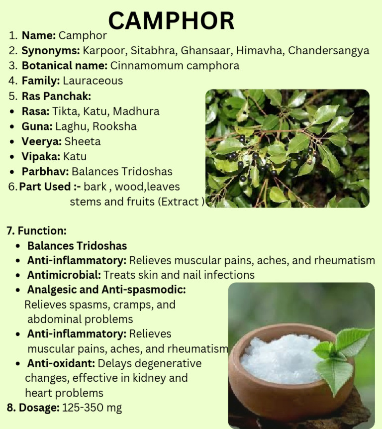 Camphor Extract | PDF