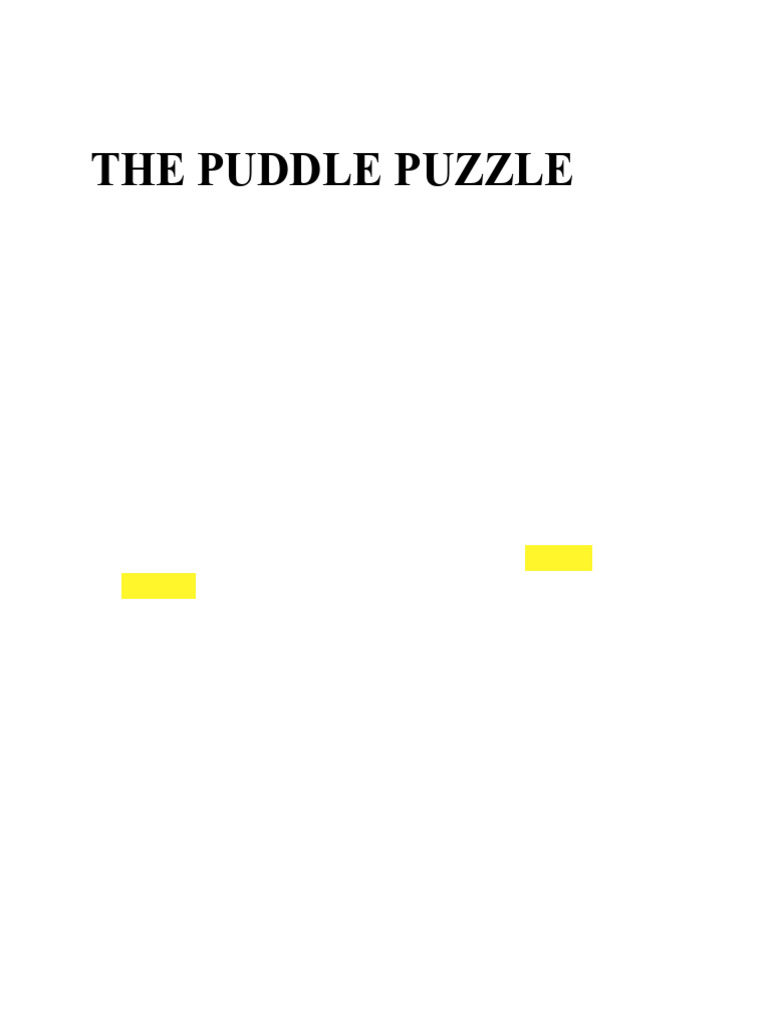 The Puddle Puzzle | PDF | Water