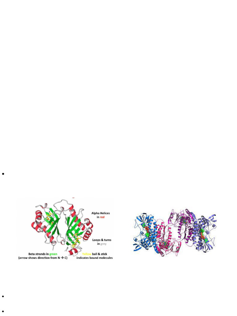 Understanding Protein Interactions | PDF | Intermolecular Force ...