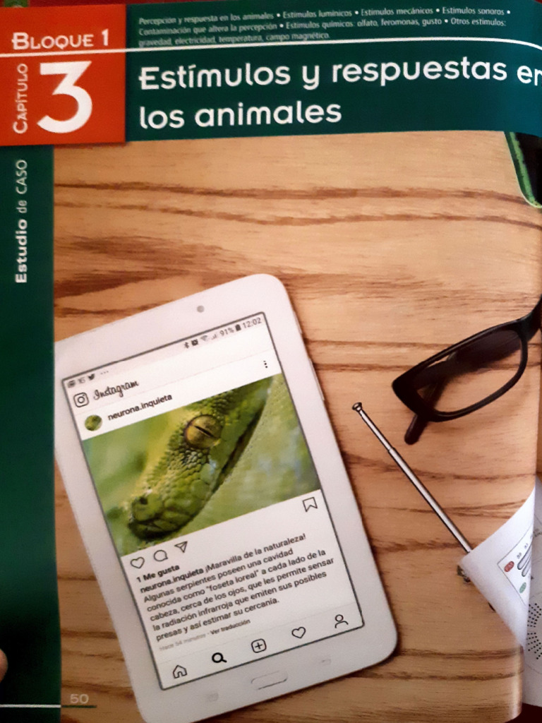 Percepción y Respuesta en Animales | PDF | Ojo humano | Sentidos